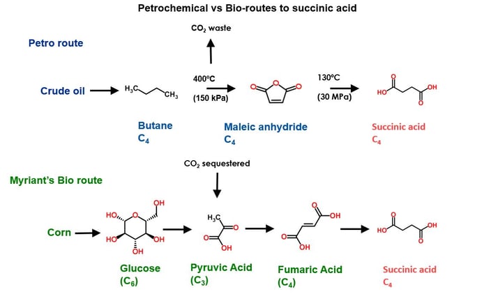 Biobased succinic acid: Is the sustainable route becoming economically ...